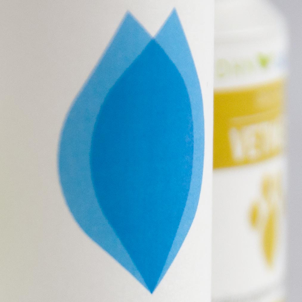 Lactopia GmbH – Probiotische Produkte | zimmer. büro für ehrliche werbung